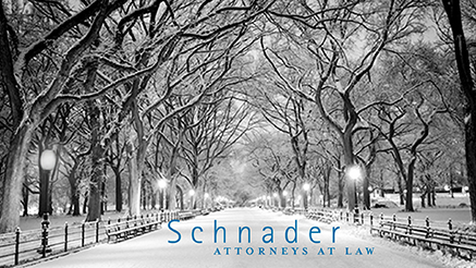 Custom Holiday Ecards | Schnader (2016) | Vivid Greetings